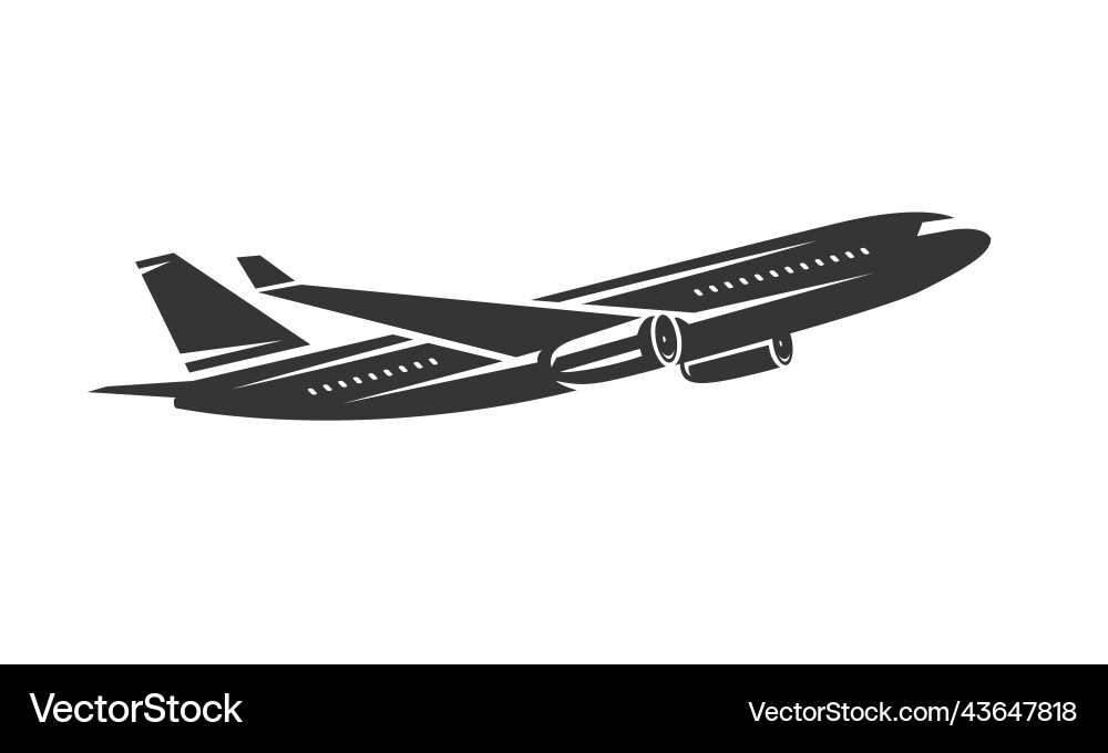 Passenger aircraft airliner Royalty Free Vector Image