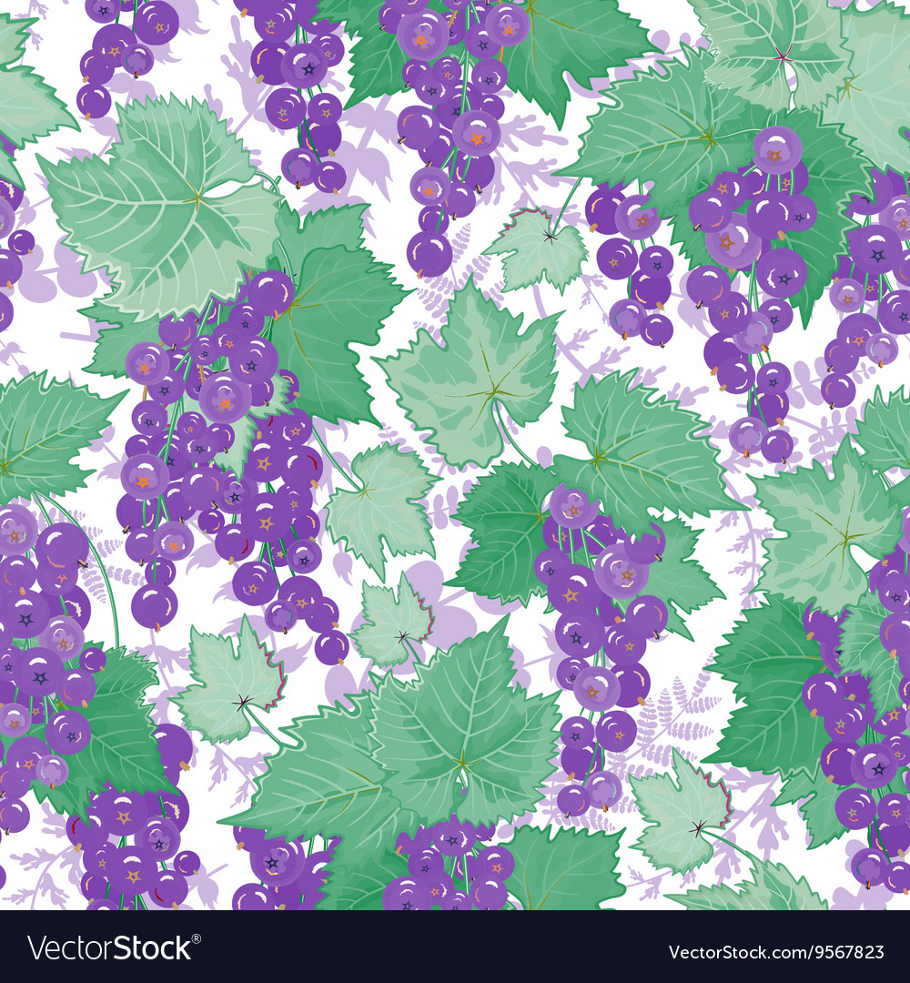 Berry pattern background with currant Royalty Free Vector