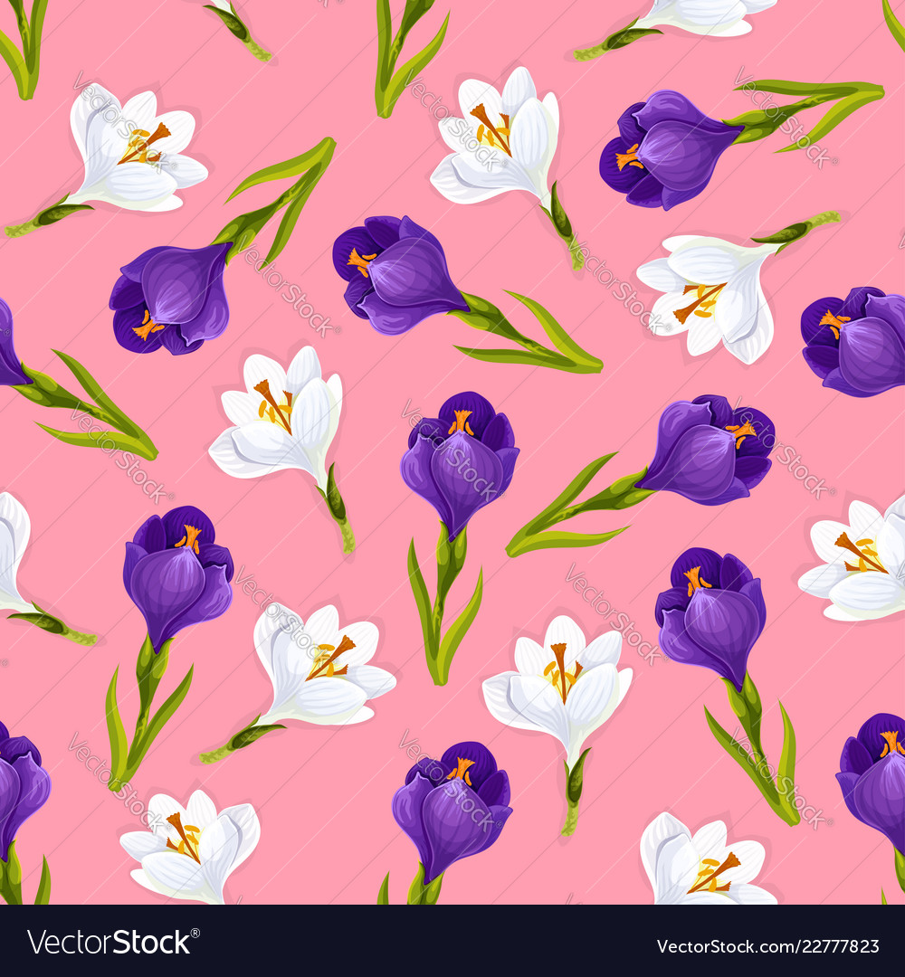 Crocus flowers seamless pattern Royalty Free Vector Image