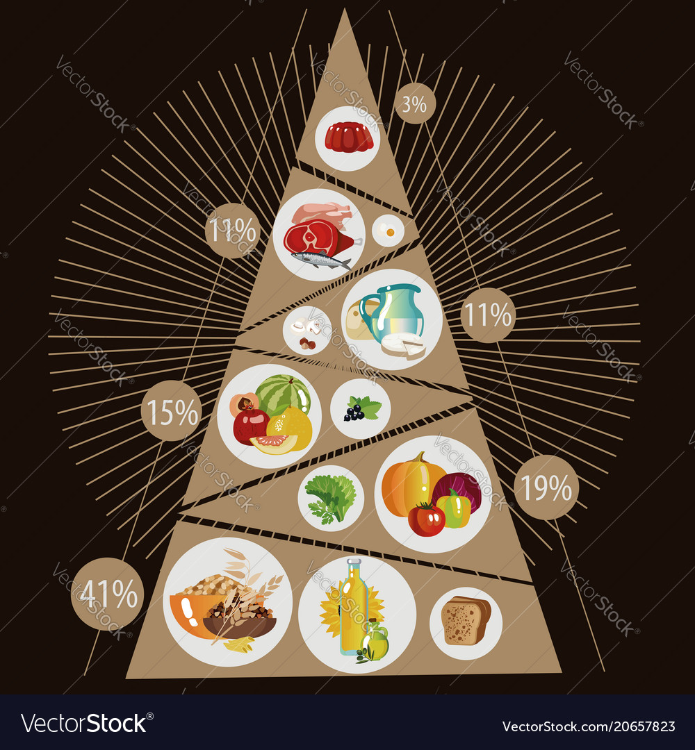 Food pyramid Royalty Free Vector Image - VectorStock