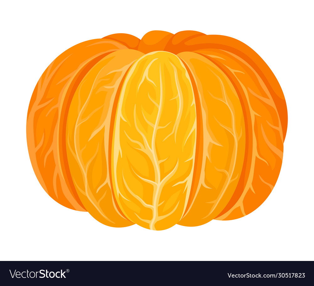Fresh whole and peeled mandarin or tangerine fruit Fresh whole and peeled mandarin or tangerine fruit