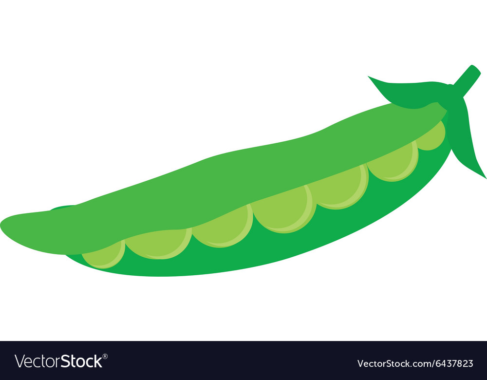 Pod of peas Royalty Free Vector Image - VectorStock