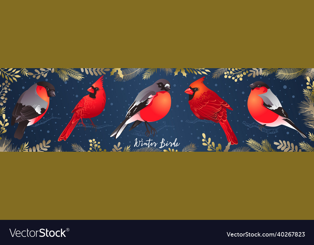 Set of winter birds Royalty Free Vector Image - VectorStock