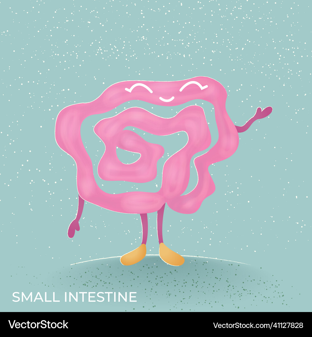 Funny anatomical image of human Royalty Free Vector Image