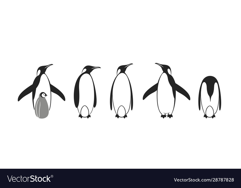 Penguin Royalty Free Vector Image - VectorStock