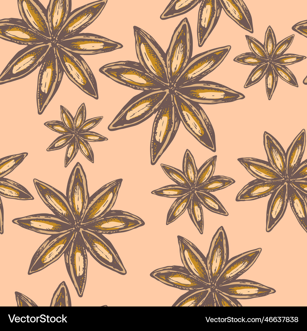 Stars anise seamless pattern hand drawn on cream Vector Image