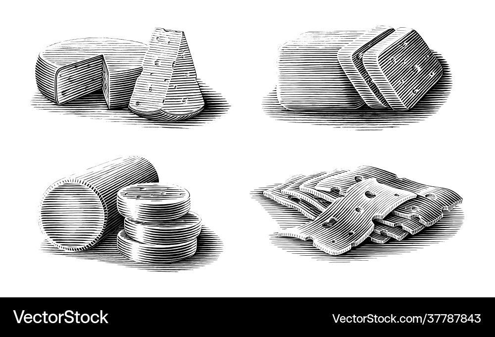 Cheese collection hand drawn vintage engraving Vector Image