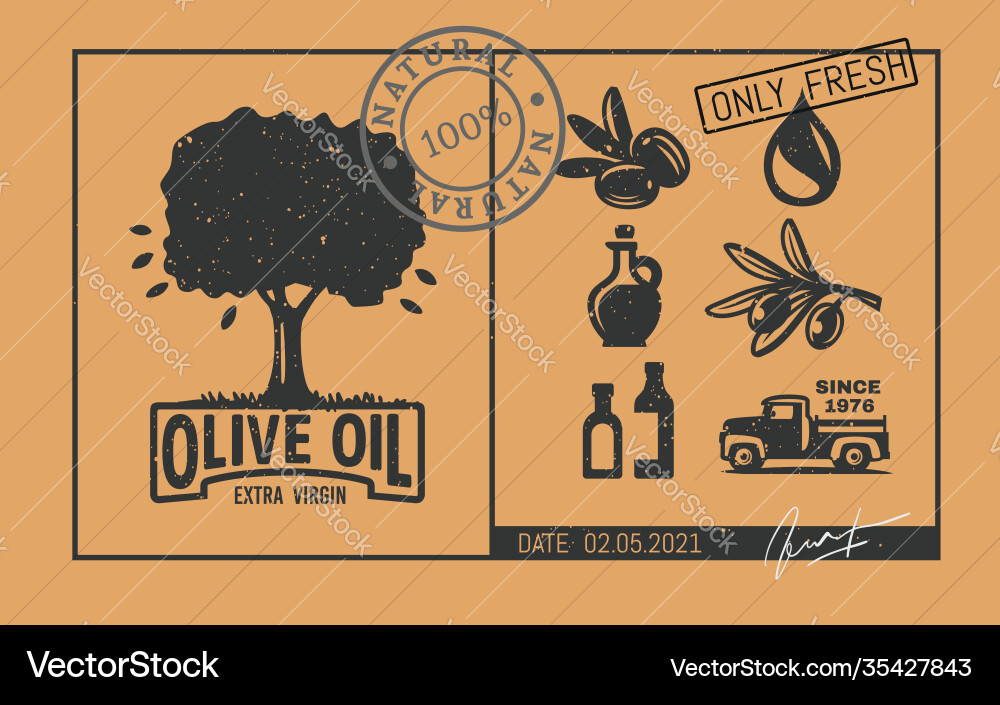 Vintage olive tree emblem with icons Royalty Free Vector