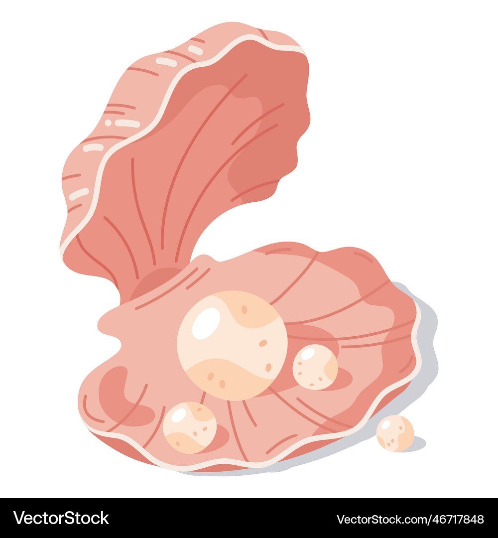 Scallop seashell with pearl shell with pearls Vector Image