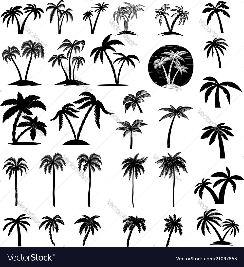 Set palm tree design element for logo label Vector Image