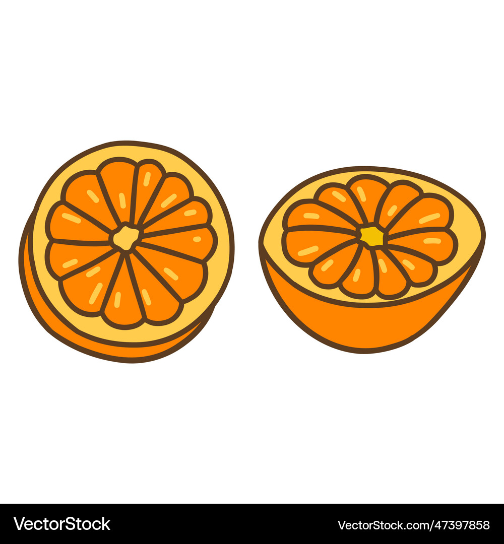 Bright juicy orange cut in half useful fruit Vector Image