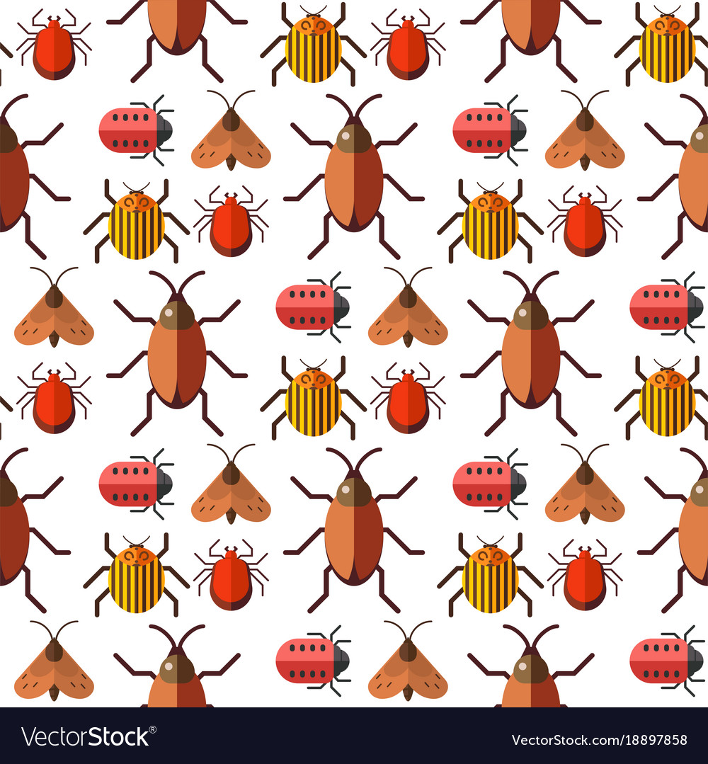 Insects bug seamless pattern bugs Royalty Free Vector Image
