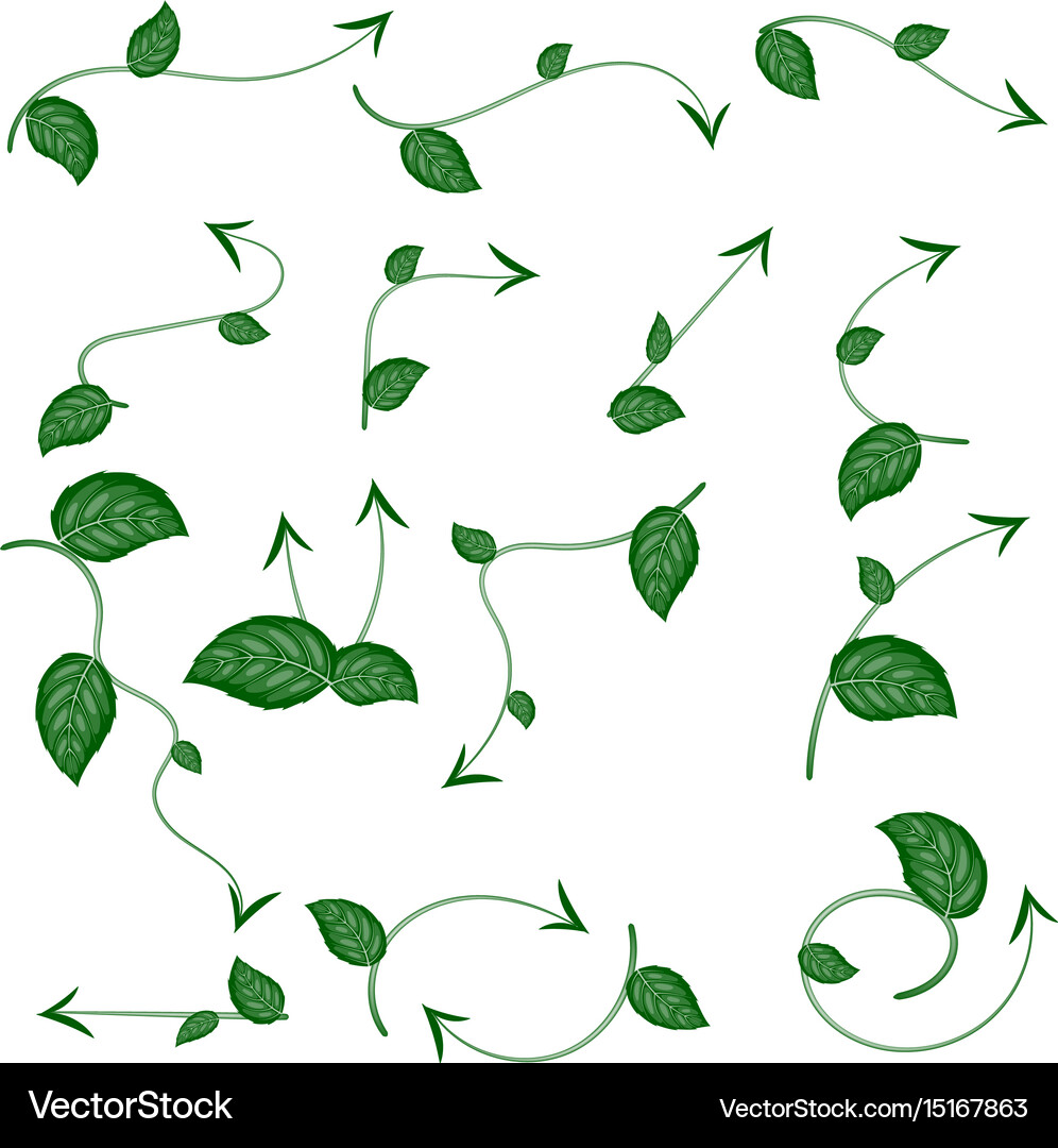 Set of ecological leaf arrow on white background Vector Image