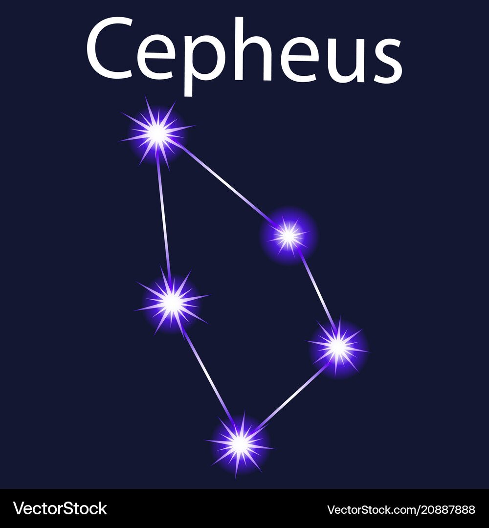 Constellation cepheus with stars in night sky Vector Image