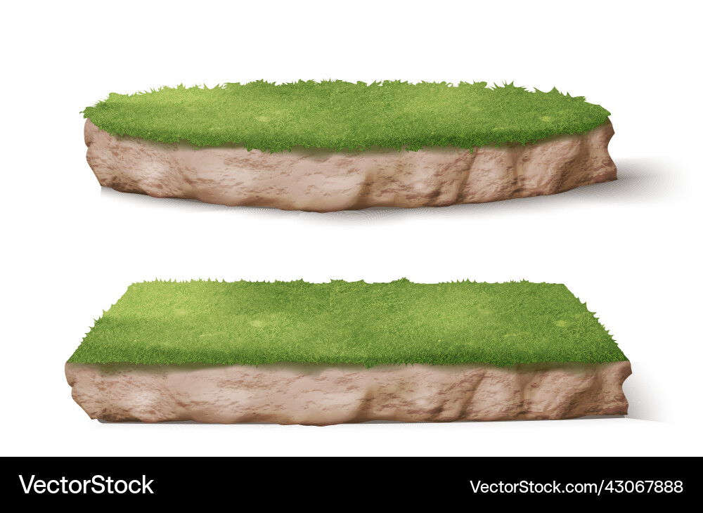 Land piece with green grass realistic garden plot Vector Image