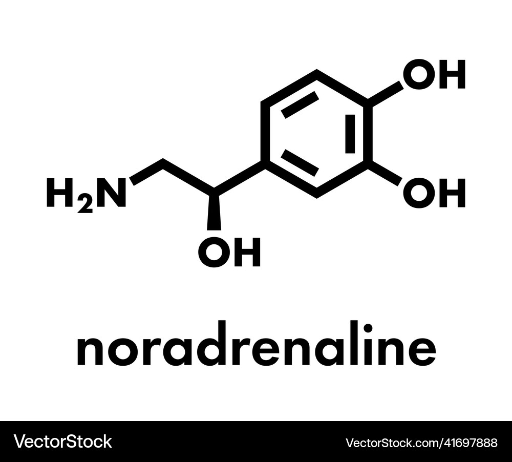Norepinephrine noradrenaline norepi hormone Vector Image