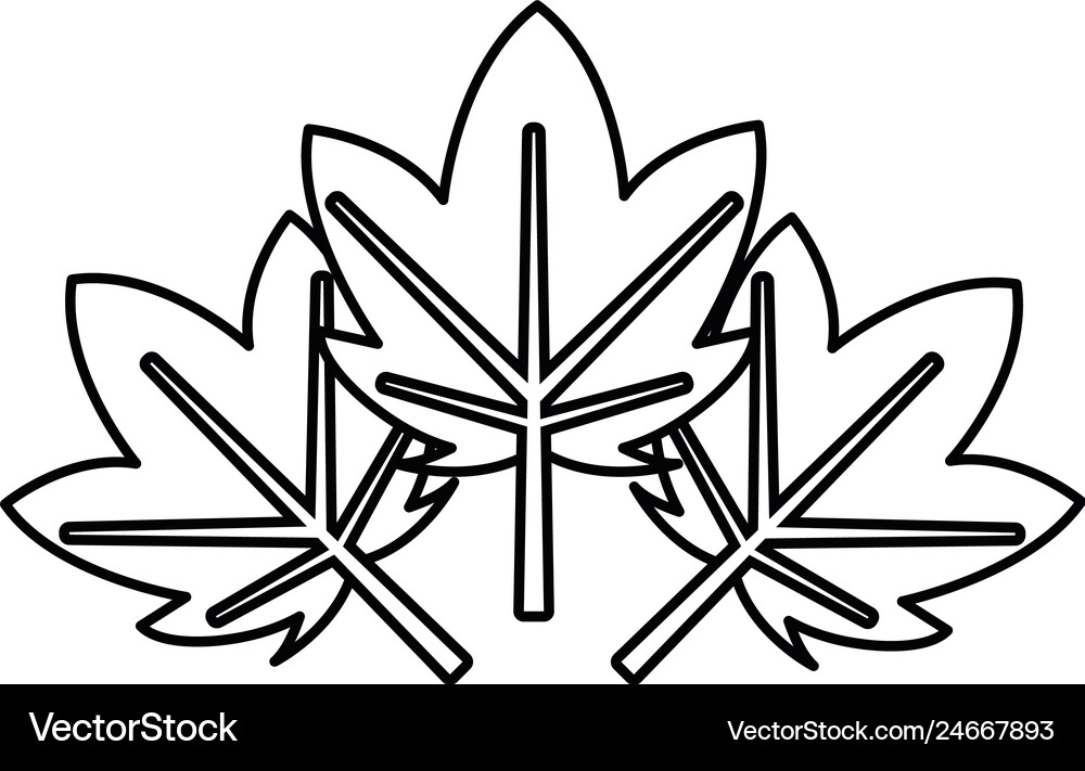 Natural big leaves background Royalty Free Vector Image