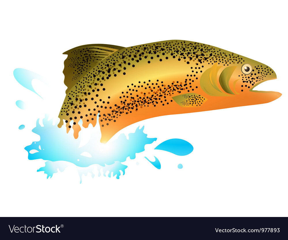 Salmon Royalty Free Vector Image - VectorStock