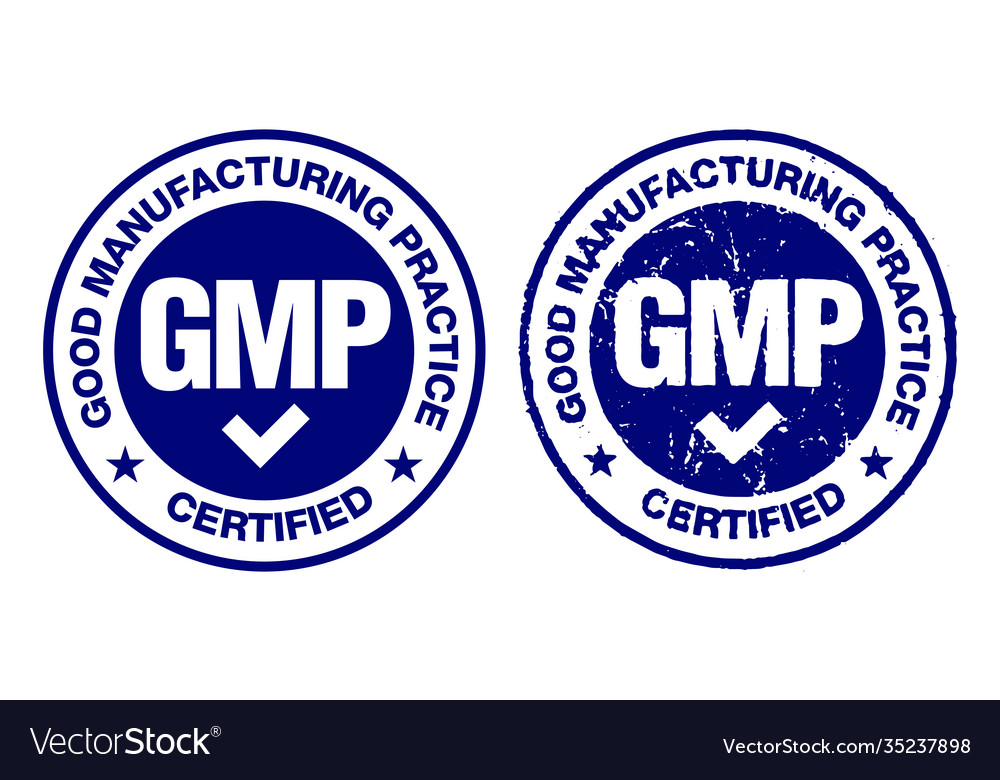 Gmp good manufacturing practice vintage grunge Vector Image