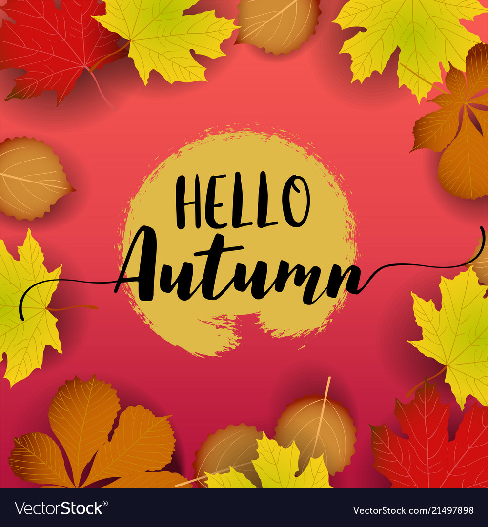 Hello autumn banner paper colorful tree leaf Vector Image