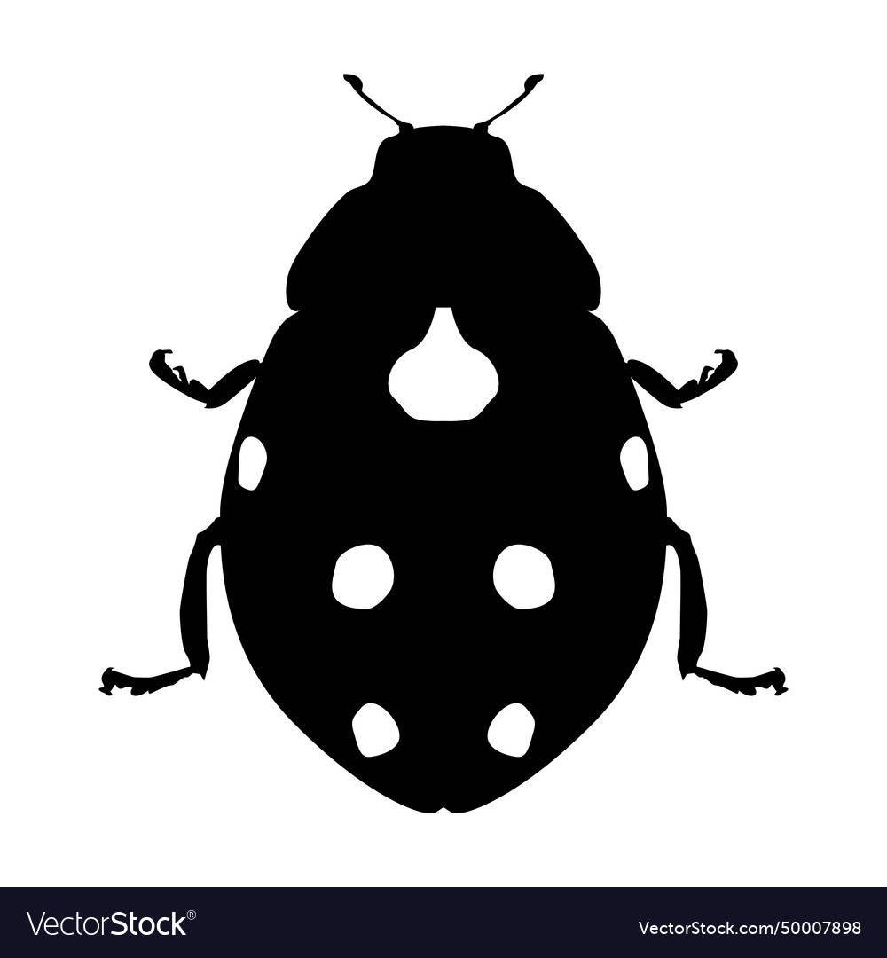 Ladybug icon Royalty Free Vector Image - VectorStock