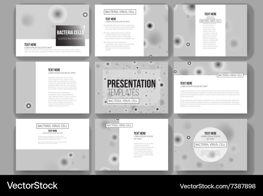Set of 9 templates for presentation slides Vector Image
