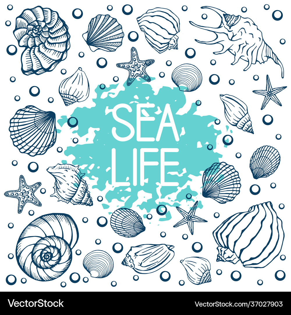 Seashells summer holidays set Royalty Free Vector Image