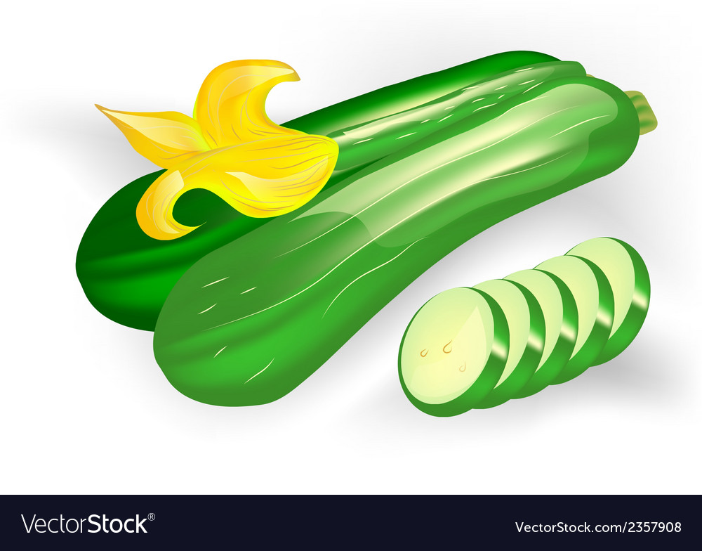 Courgettes Royalty Free Vector Image - VectorStock