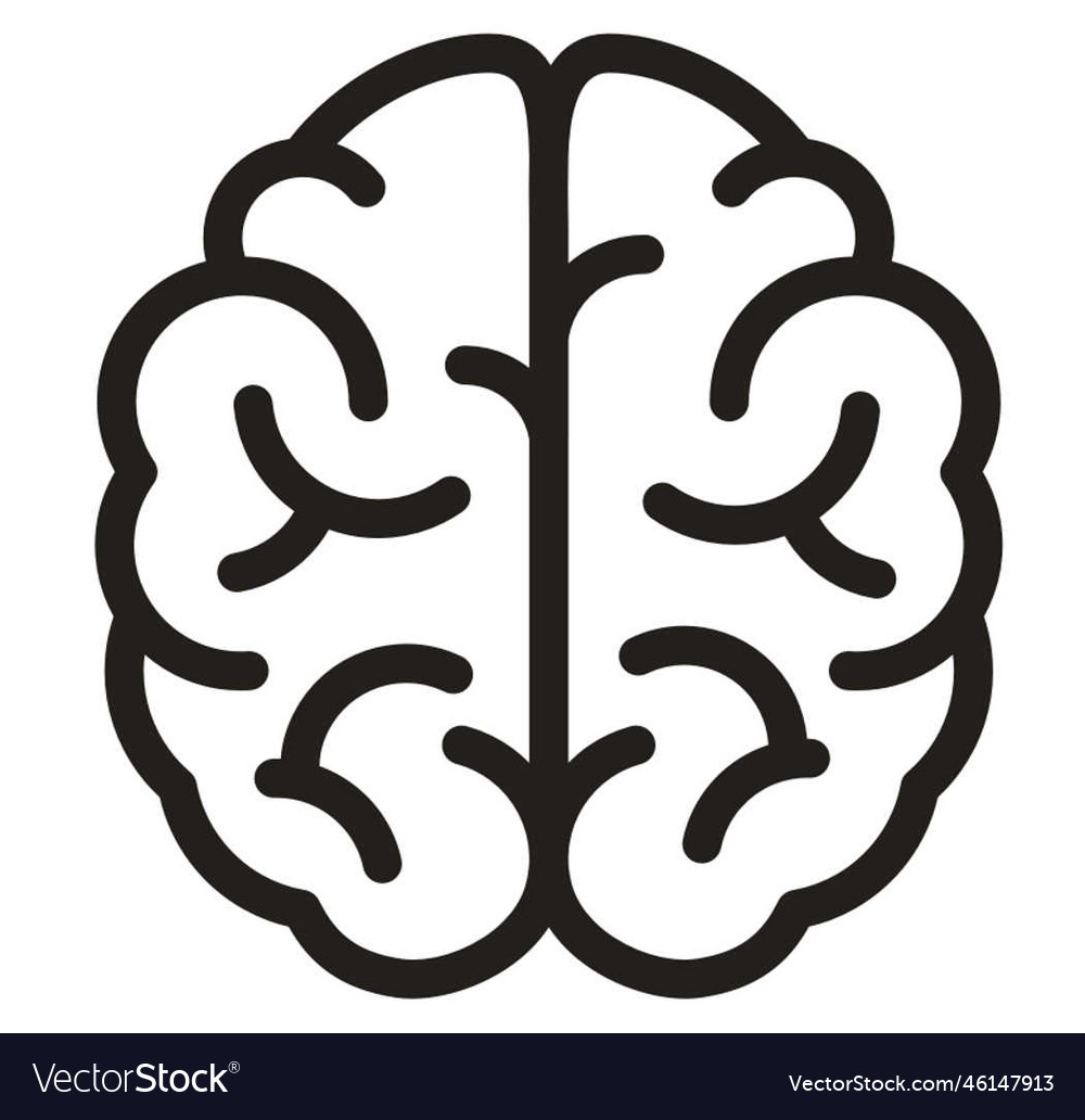 Brain Royalty Free Vector Image - VectorStock