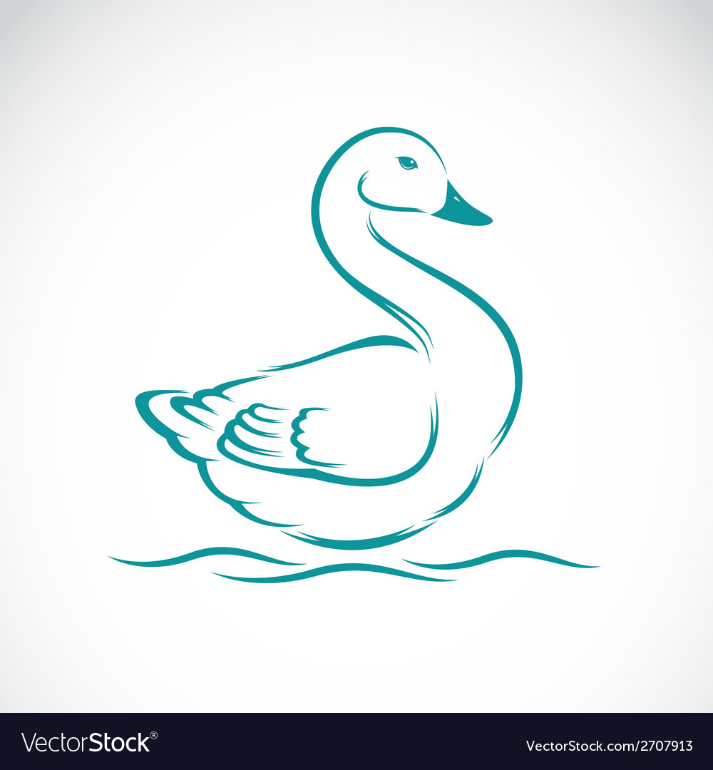 Swan Royalty Free Vector Image - VectorStock
