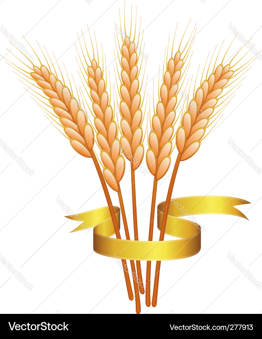 Wheat ears and golden ribbon Royalty Free Vector Image