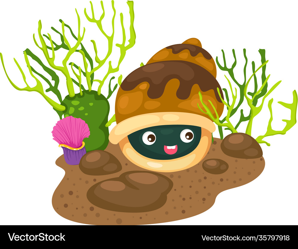 Coral and shells Royalty Free Vector Image - VectorStock