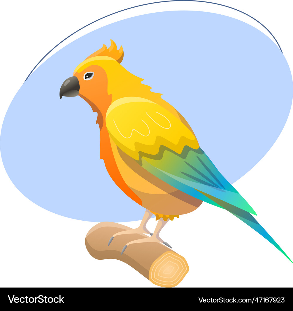 Parrot bird colorful beak crest editable graphic Vector Image