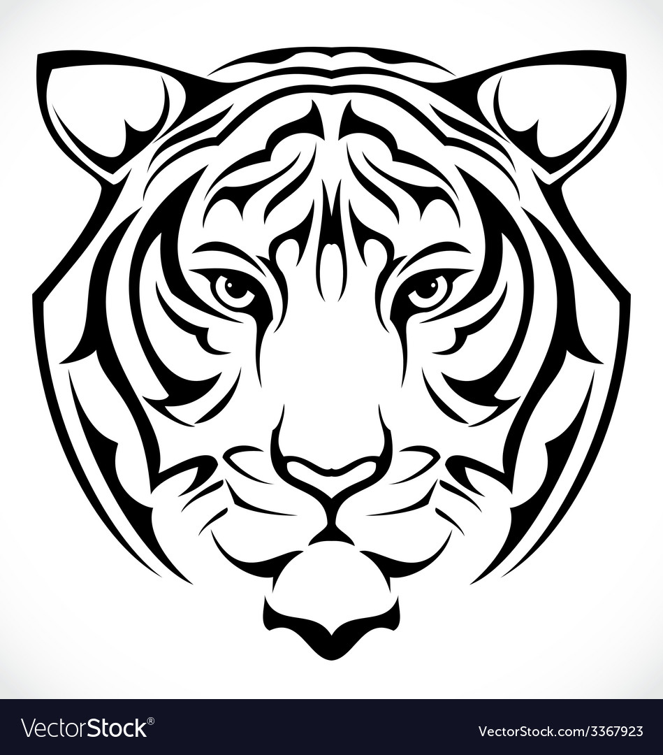 Tiger head Royalty Free Vector Image - VectorStock