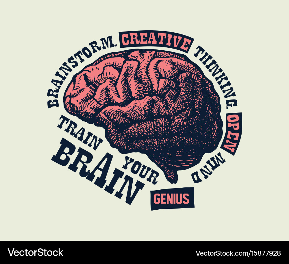 Creative concept of the human brain Royalty Free Vector