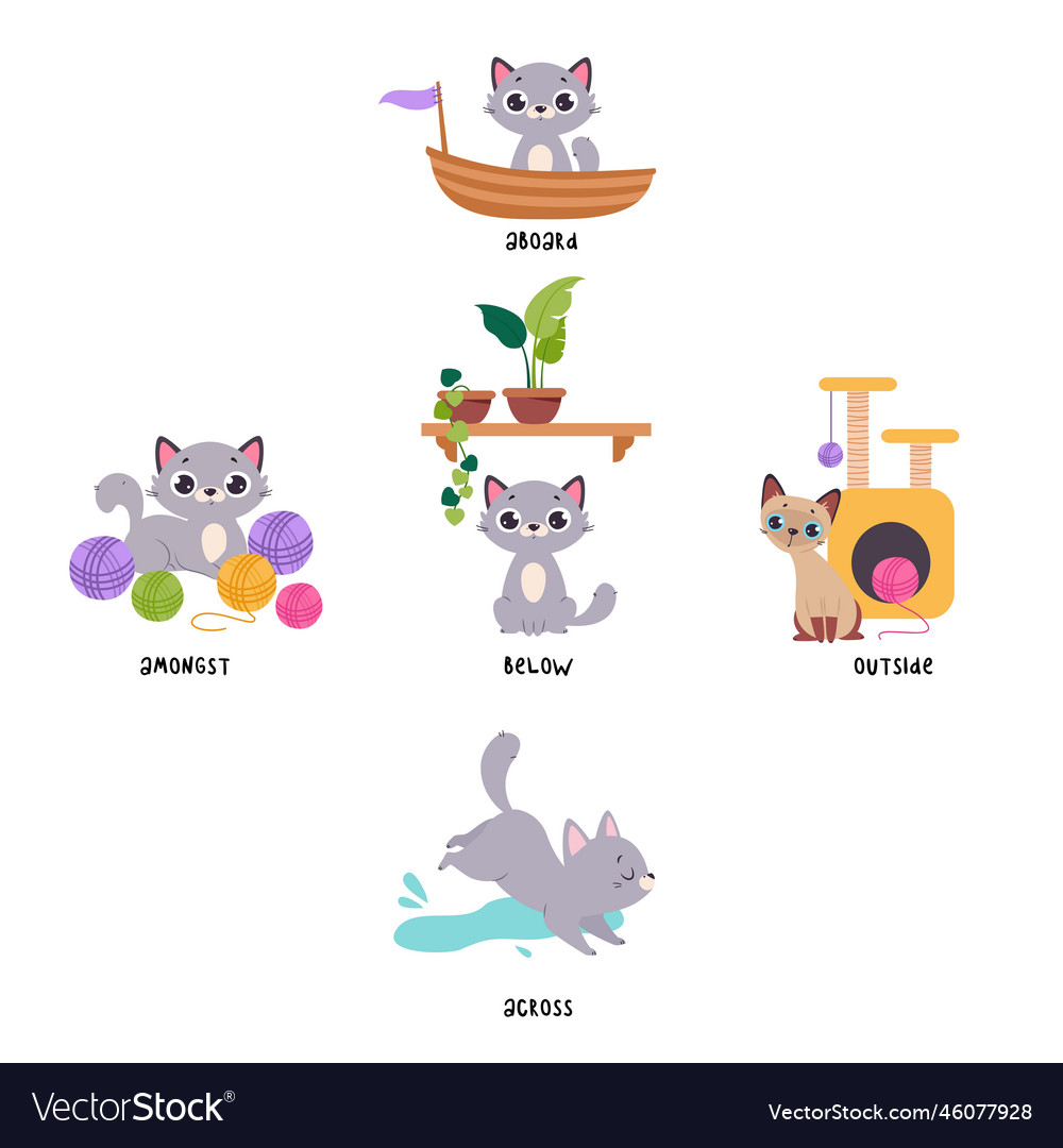 Cute grey cat demonstrating prepositions with Vector Image