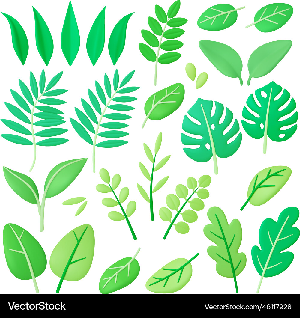Green 3d foliage tropical leaves summer spring Vector Image