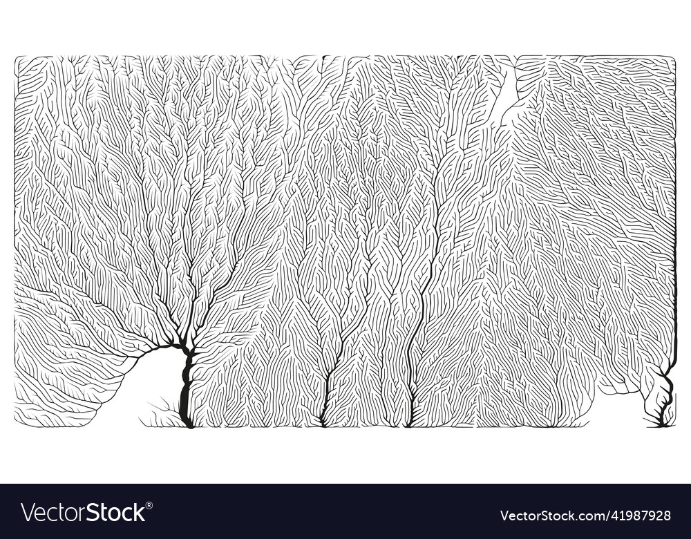 Growth pattern generative branching structure Vector Image