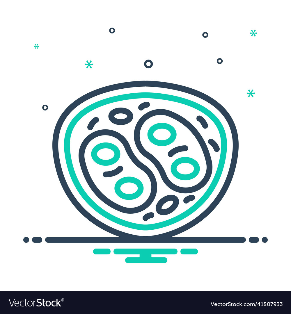 Cells Royalty Free Vector Image - VectorStock