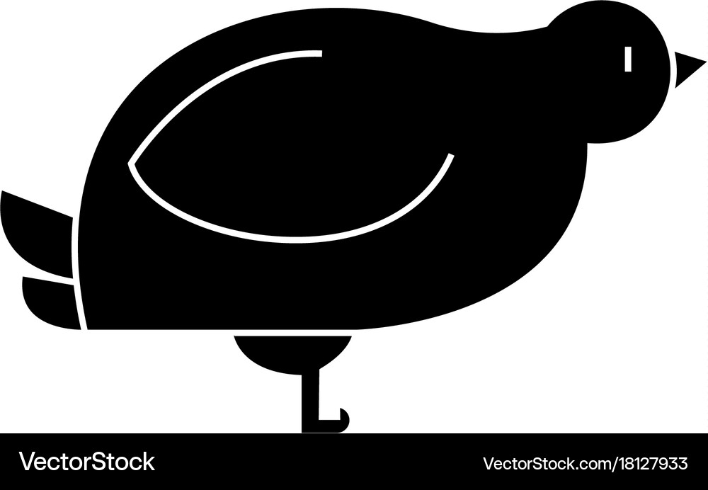 Dove quail icon sign o Royalty Free Vector Image