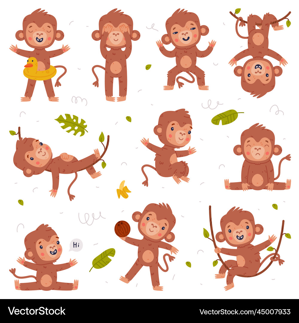 Funny happy baby monkey in different poses cute Vector Image