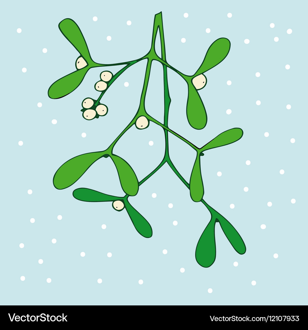 Hand drawn of mistletoe sprigs Royalty Free Vector Image