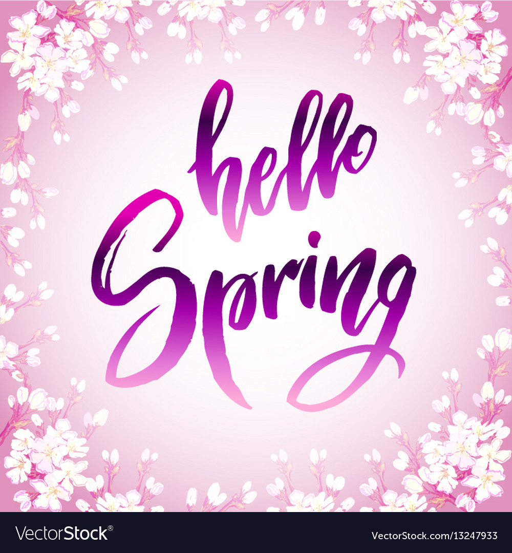 Hello spring quote Royalty Free Vector Image - VectorStock