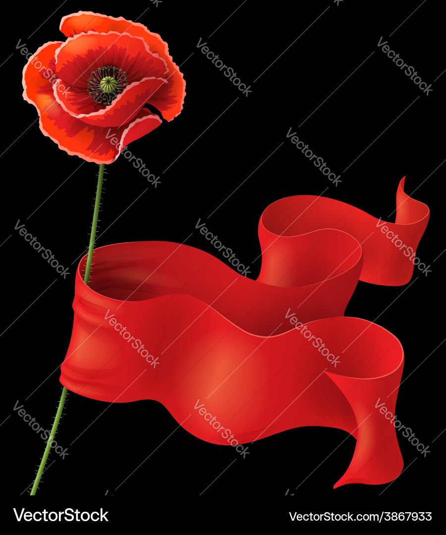 Poppy and ribbon on black Royalty Free Vector Image