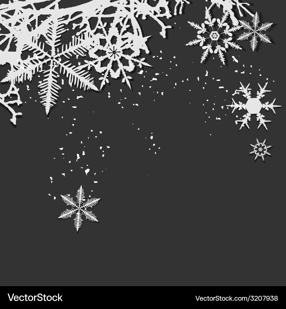 Winter background snowflakes hoarfrost Royalty Free Vector