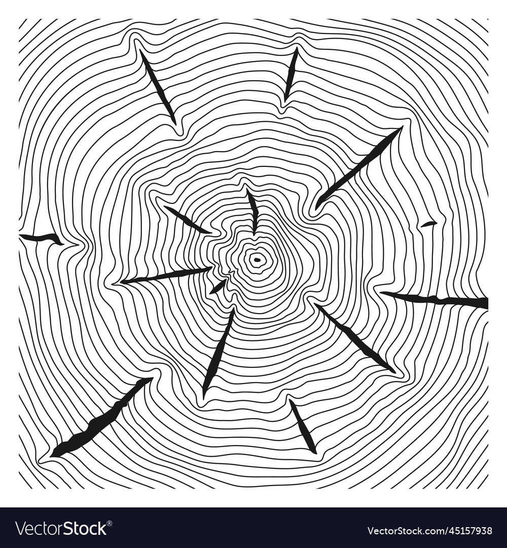 Wood rings pattern concentric tree linear texture Vector Image