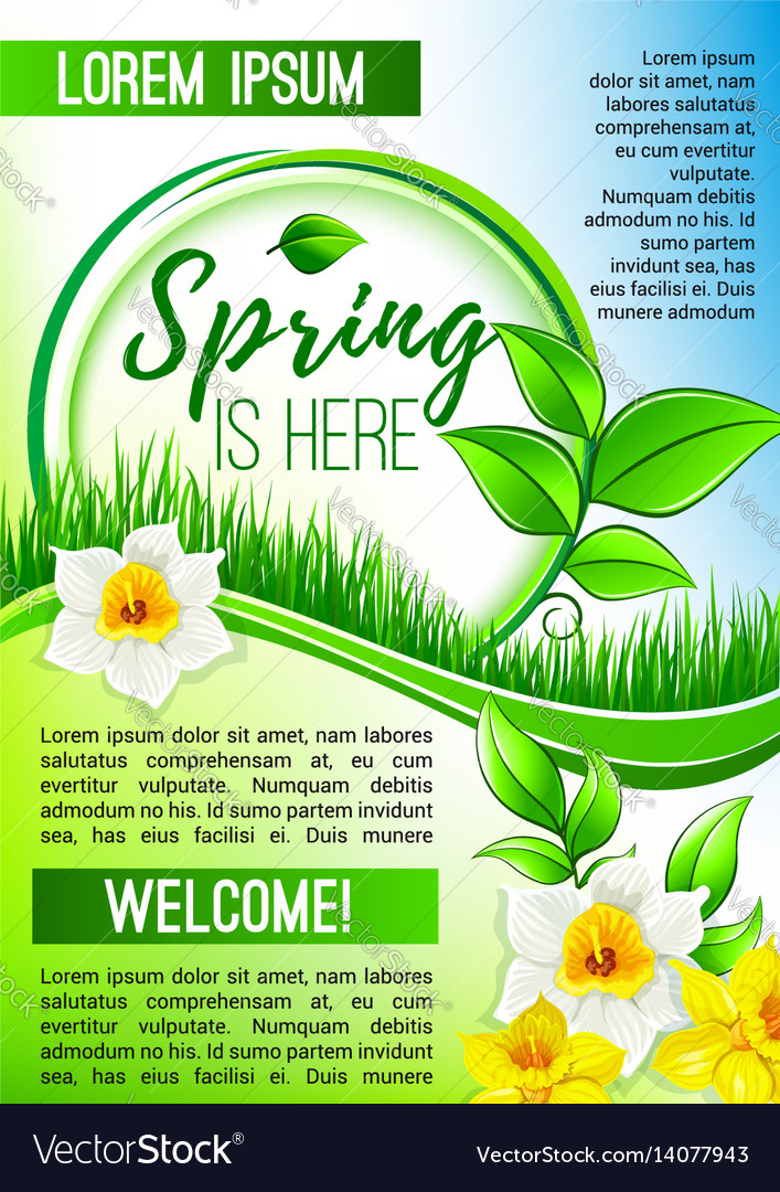 Spring poster greetings blooming flowers Vector Image