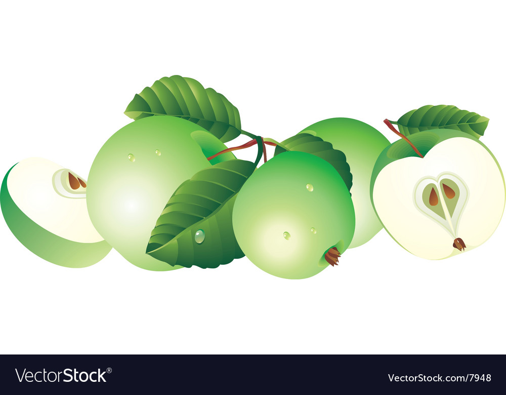 Apples Royalty Free Vector Image - VectorStock