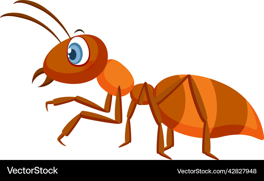 Cartoon ant isolated on white background Vector Image