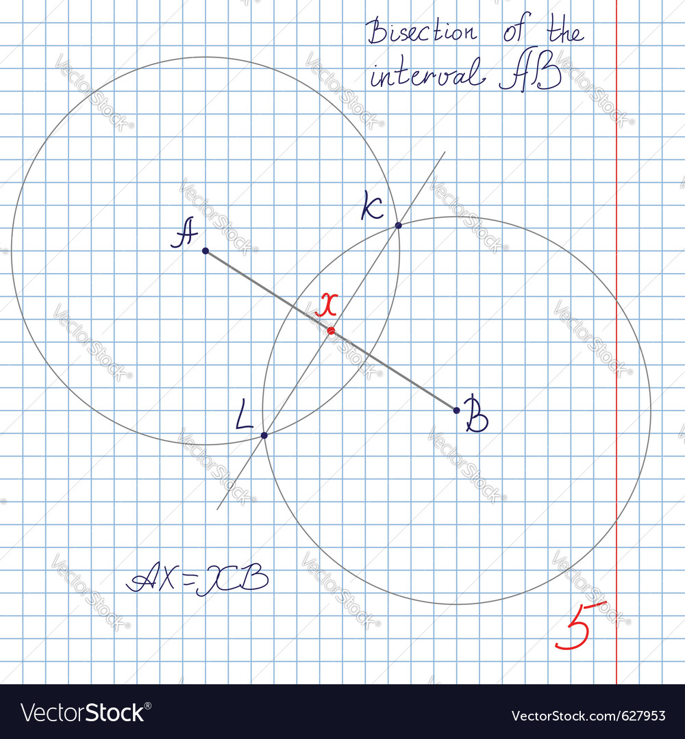 Bisection drawing Royalty Free Vector Image - VectorStock